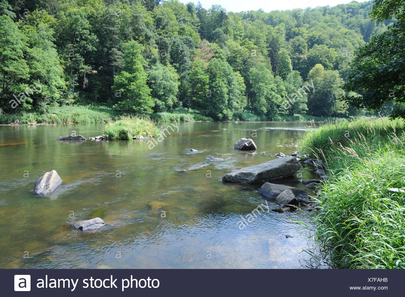 Regen Wasser High Resolution Stock Photography and Images - Alamy