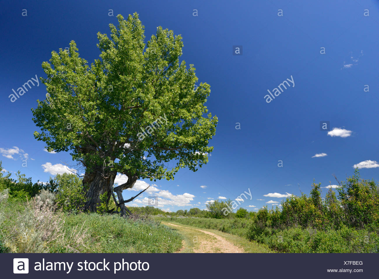 Badland High Resolution Stock Photography and Images - Alamy