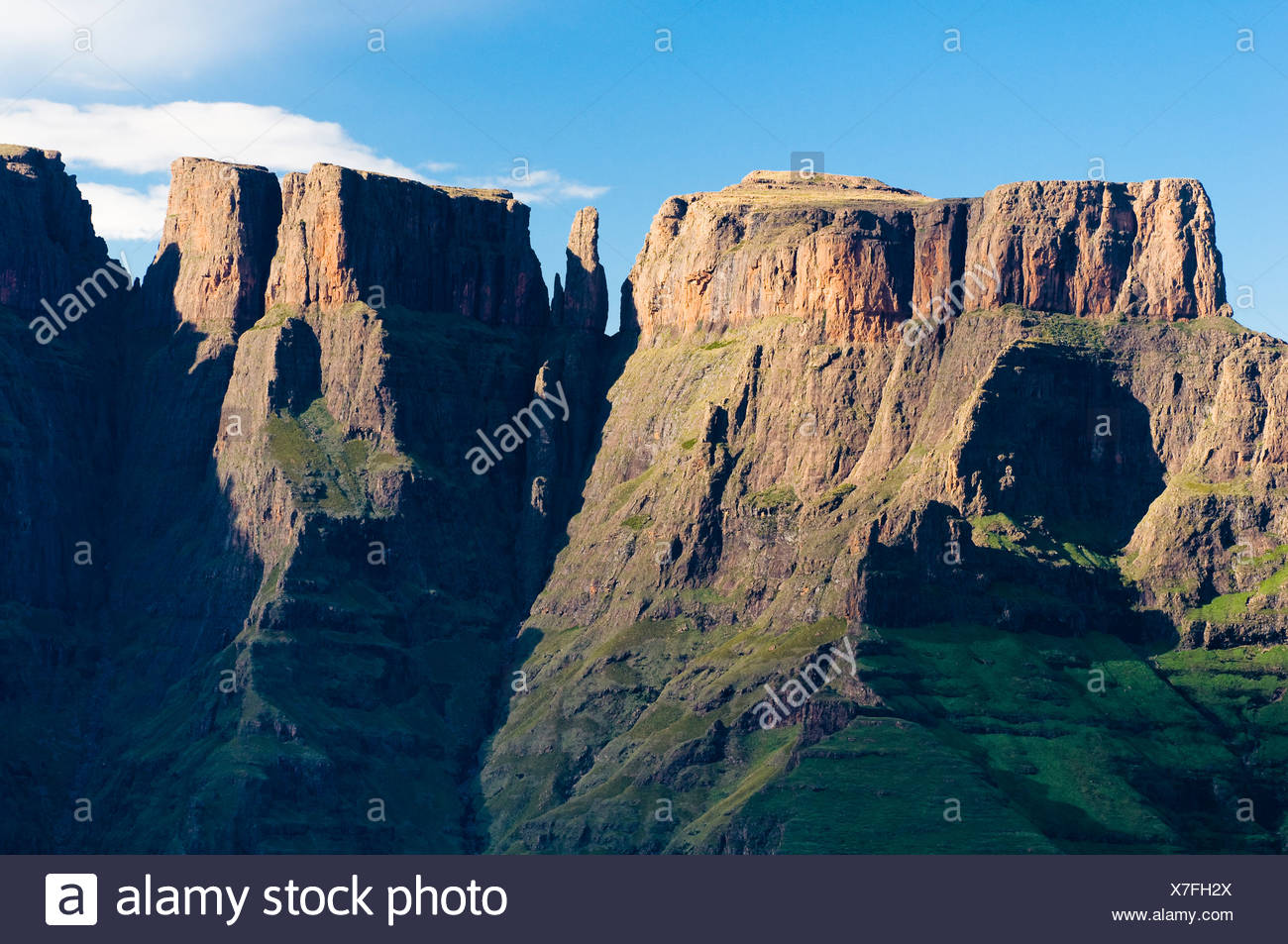 Devils Tooth High Resolution Stock Photography and Images - Alamy