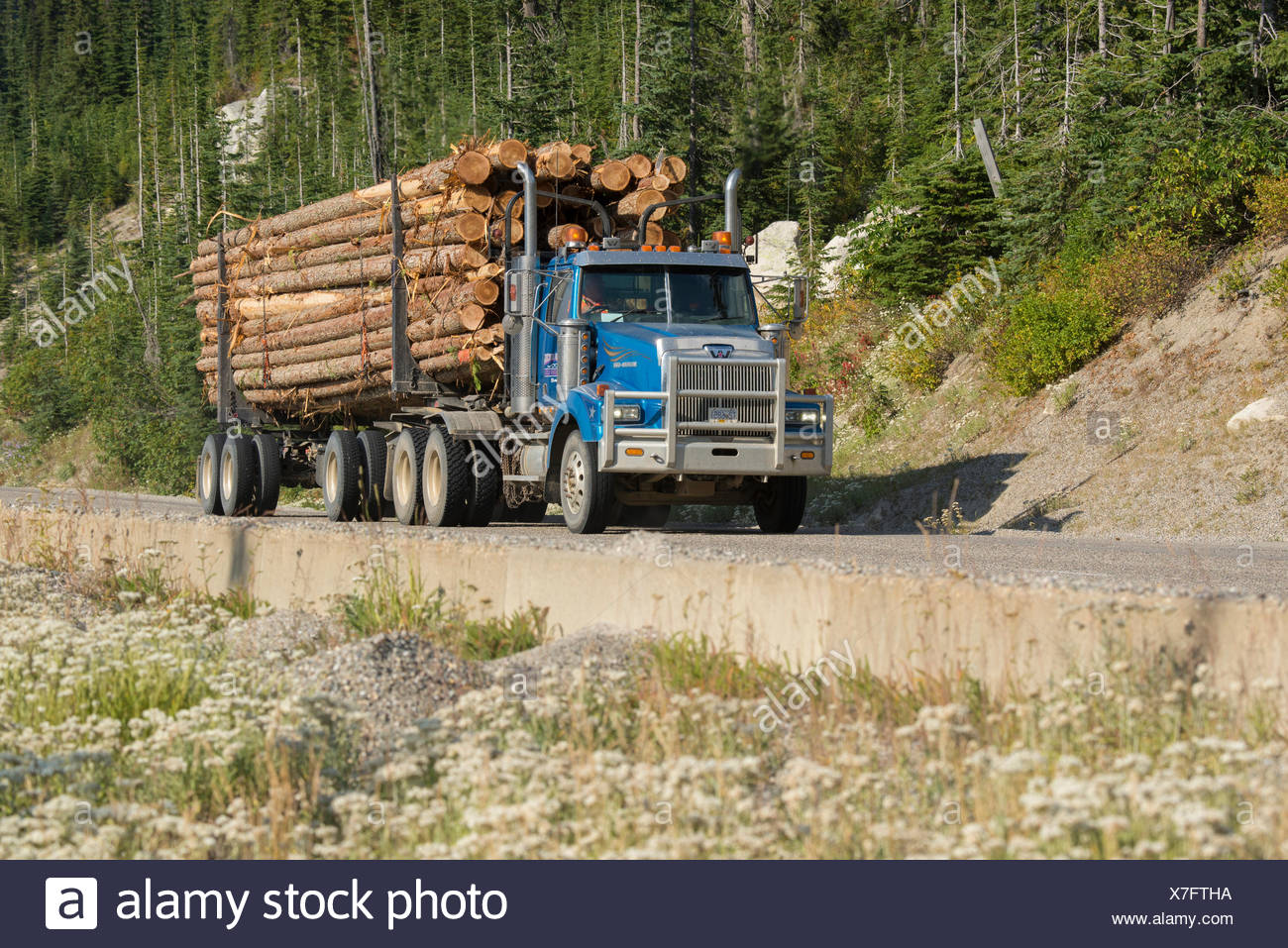 Logging Truck High Resolution Stock Photography and Images - Alamy