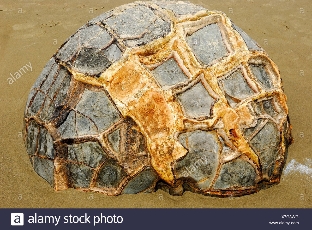 Honeycomb Erosion High Resolution Stock Photography and Images - Alamy