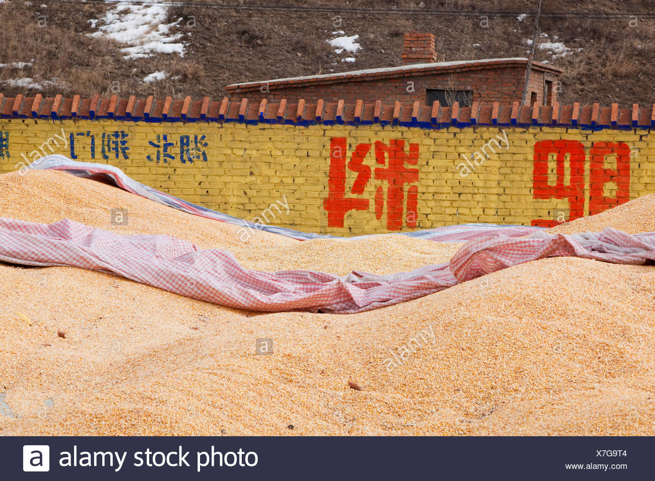 Maize Store Stock Photos & Maize Store Stock Images - Alamy