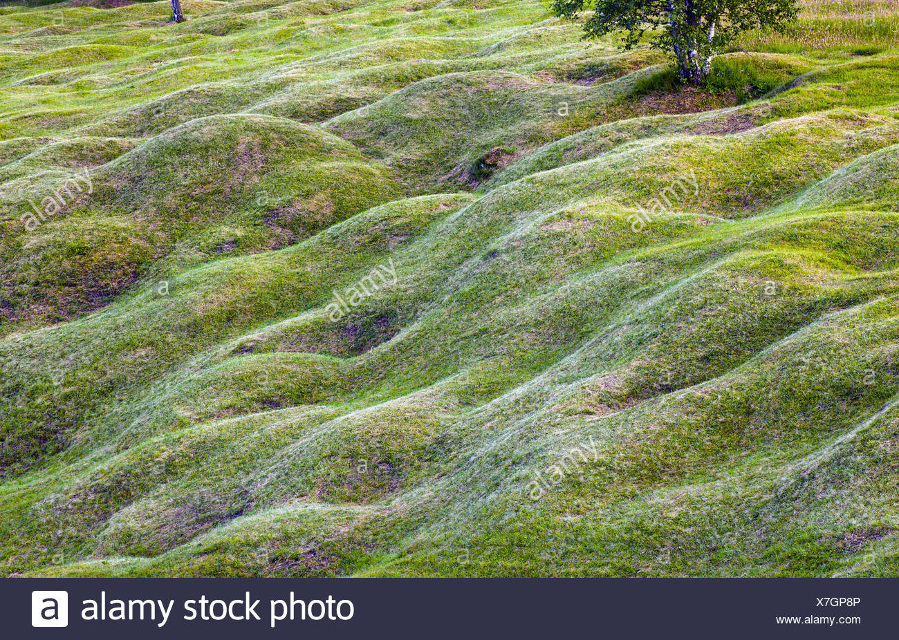 Hummocky High Resolution Stock Photography and Images - Alamy