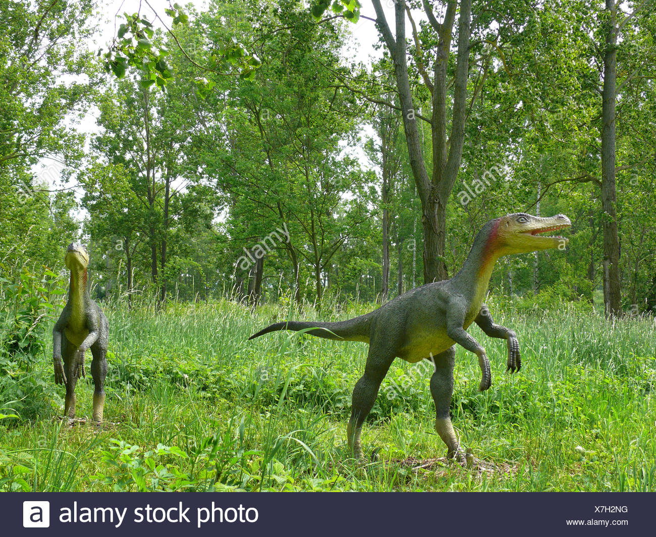 Velociraptor High Resolution Stock Photography and Images - Alamy