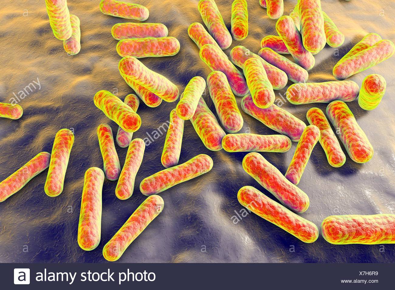 Non Pathogenic Microorganisms