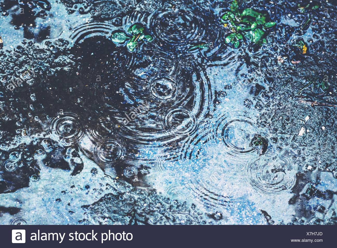 Falling In Puddle High Resolution Stock Photography and Images - Alamy