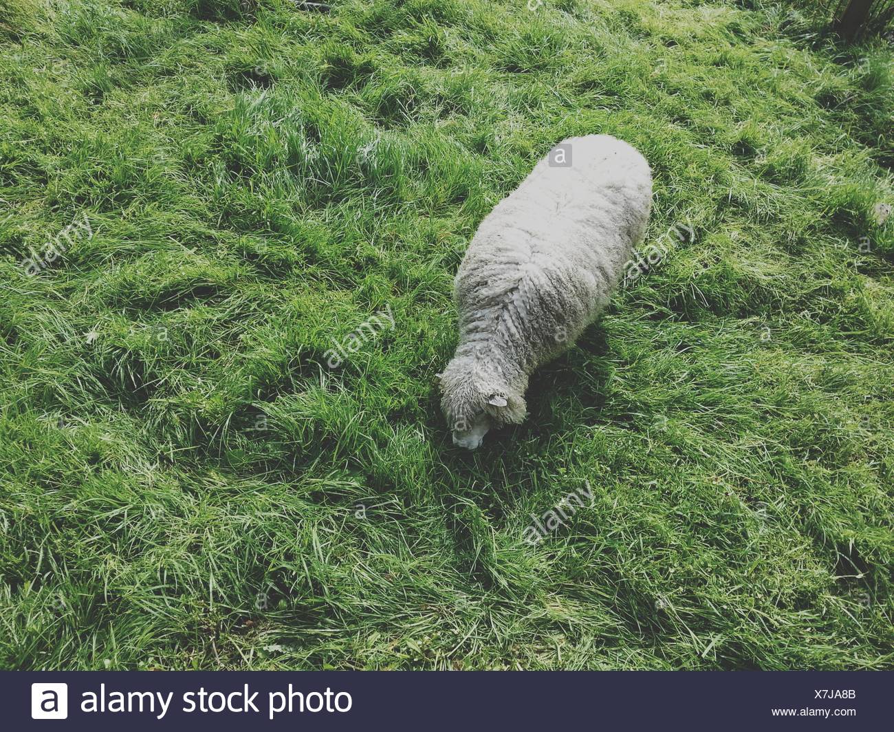 In Full View High Resolution Stock Photography and Images - Alamy