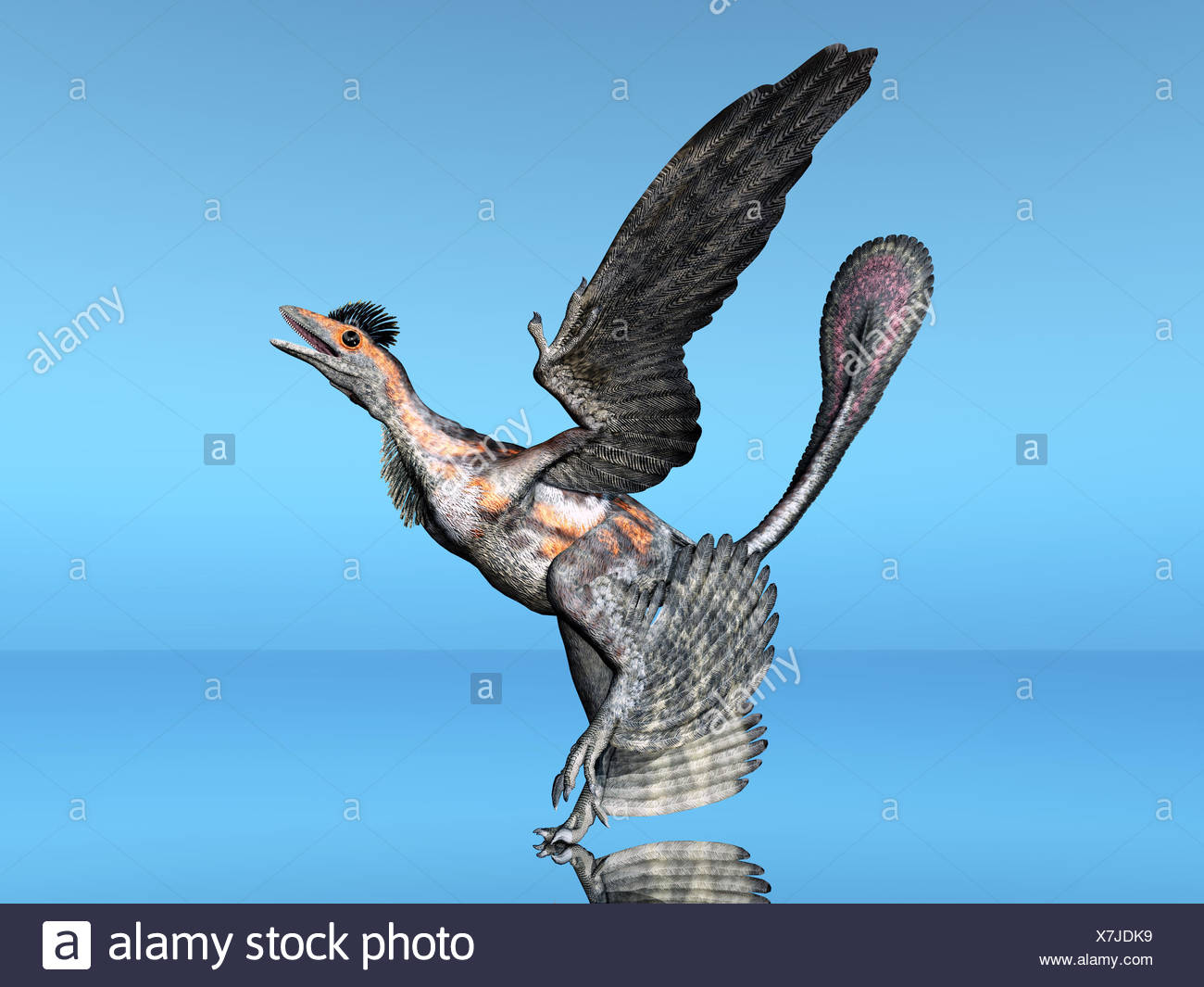 Microraptor Stock Photos & Microraptor Stock Images - Alamy