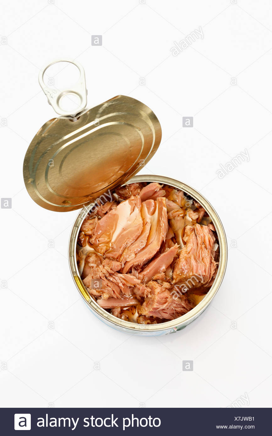 Tin Of Tuna Stock Photos & Tin Of Tuna Stock Images - Alamy Tin Of Tuna Stock Photos & Tin Of Tuna Stock Images - Alamy