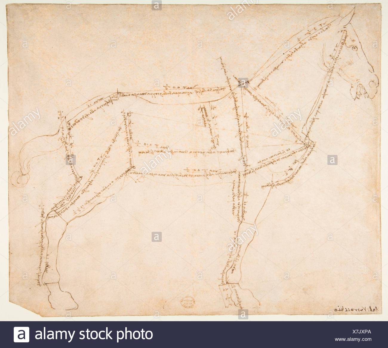 Andrea Del Verrocchio And Leonardo Da Vinci High Resolution Stock ...