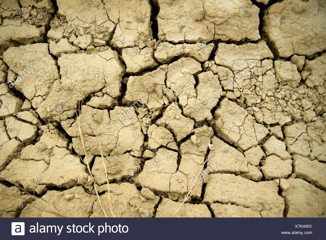 Loamy Soil Stock Photos & Loamy Soil Stock Images - Alamy