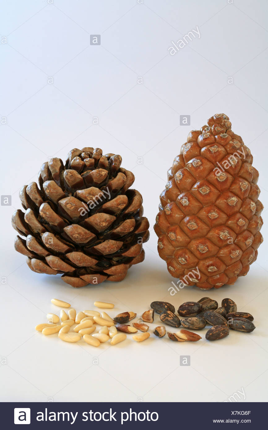 Ungeschaeltes High Resolution Stock Photography and Images - Alamy