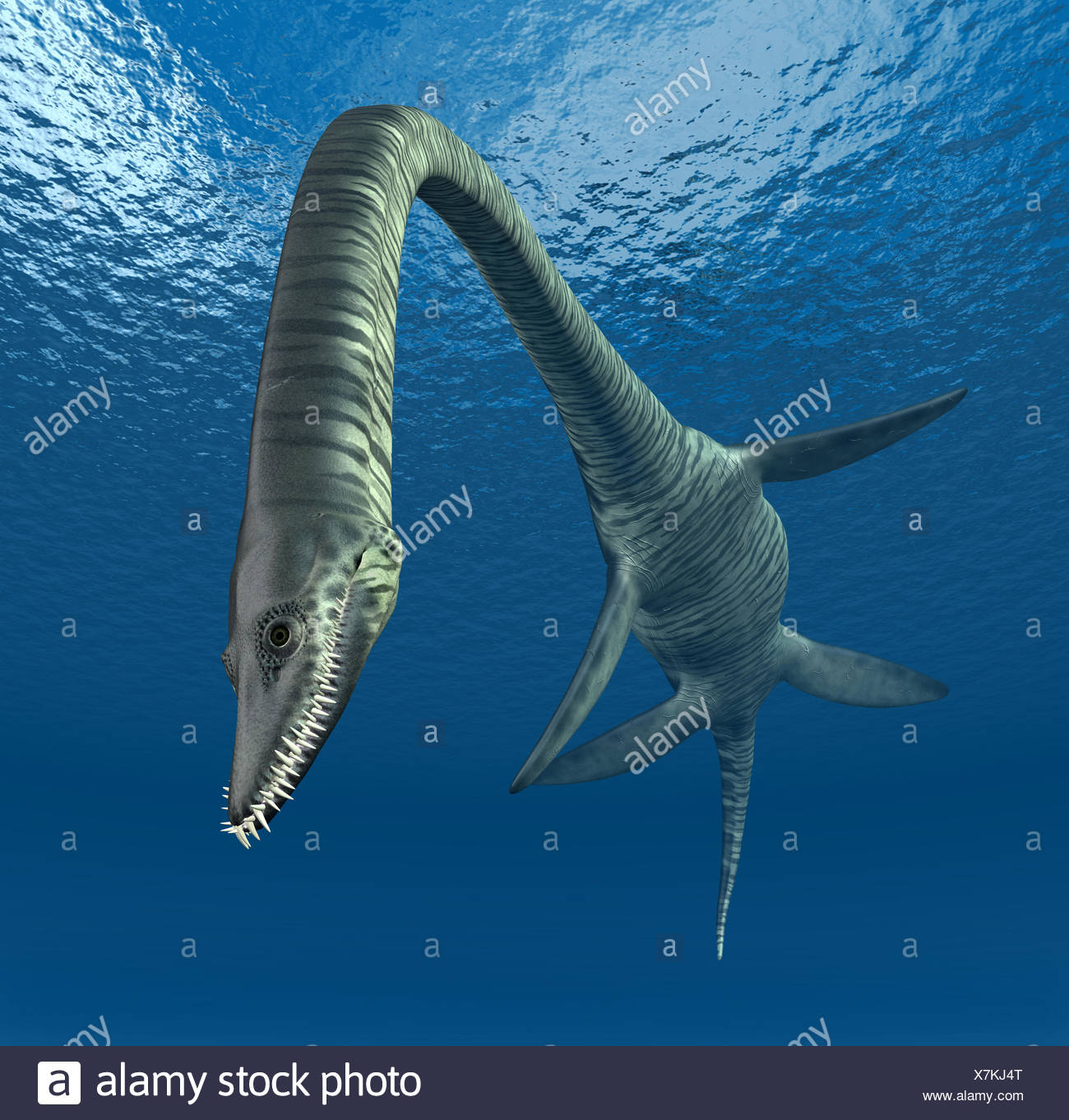 Elasmosaurus High Resolution Stock Photography and Images - Alamy