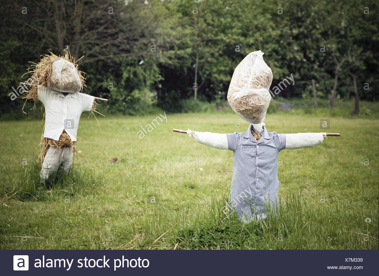 Two Scarecrows High Resolution Stock Photography and Images - Alamy