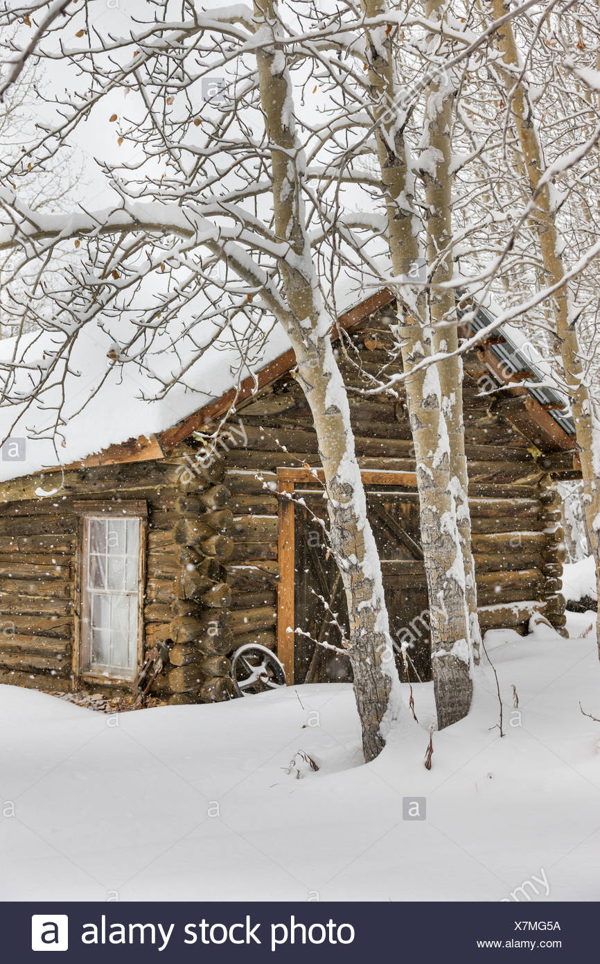 Log Cabin Door High Resolution Stock Photography and Images - Alamy