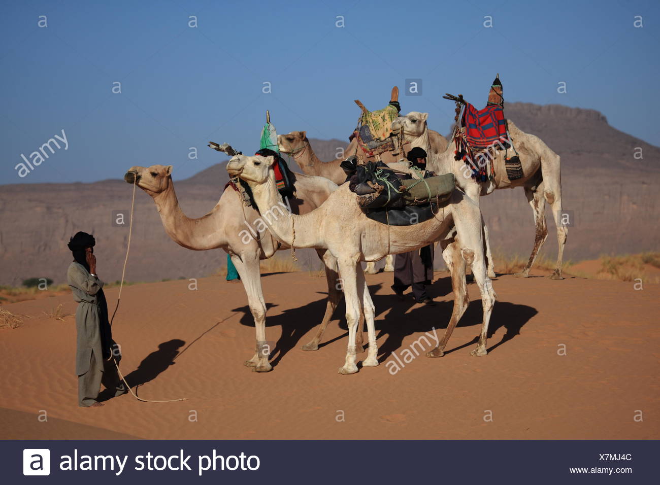 Tuareg Caravan High Resolution Stock Photography and Images - Alamy