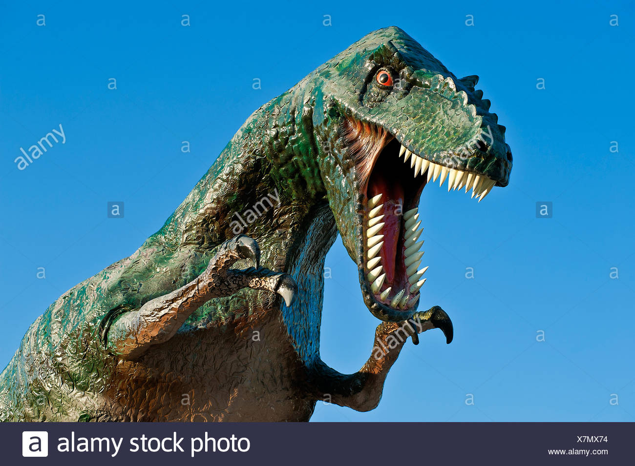 Ferocious Beast High Resolution Stock Photography and Images - Alamy