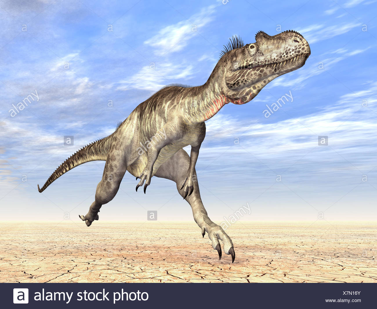 Megalosaurus Stock Photos & Megalosaurus Stock Images - Alamy