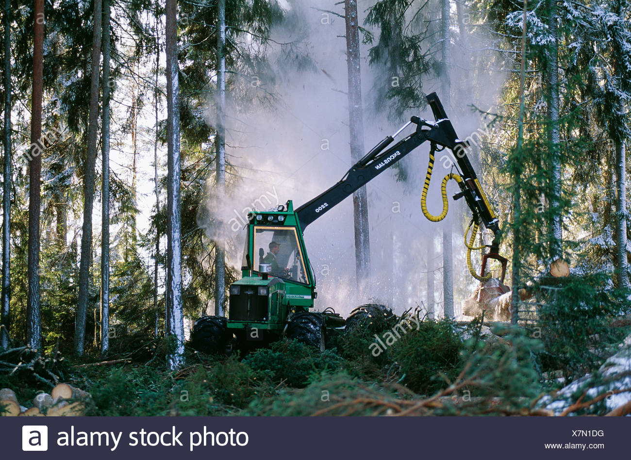Lifting Log High Resolution Stock Photography and Images - Alamy