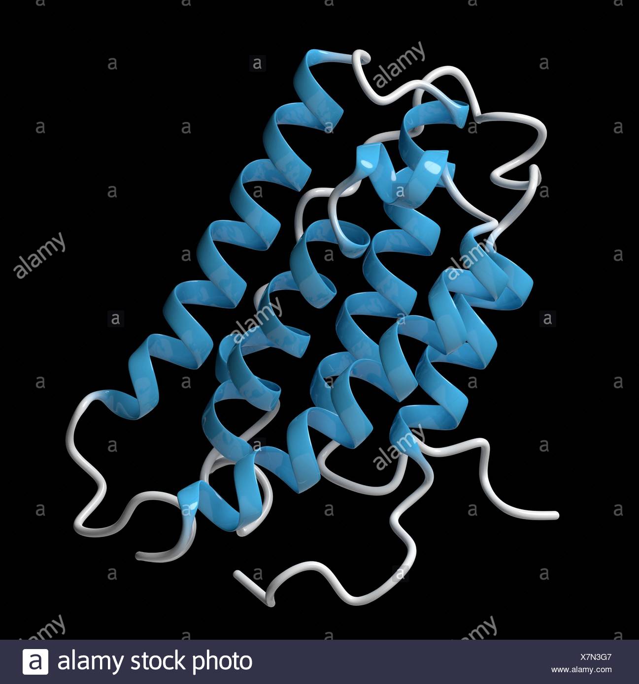 Alpha Helices High Resolution Stock Photography and Images - Alamy