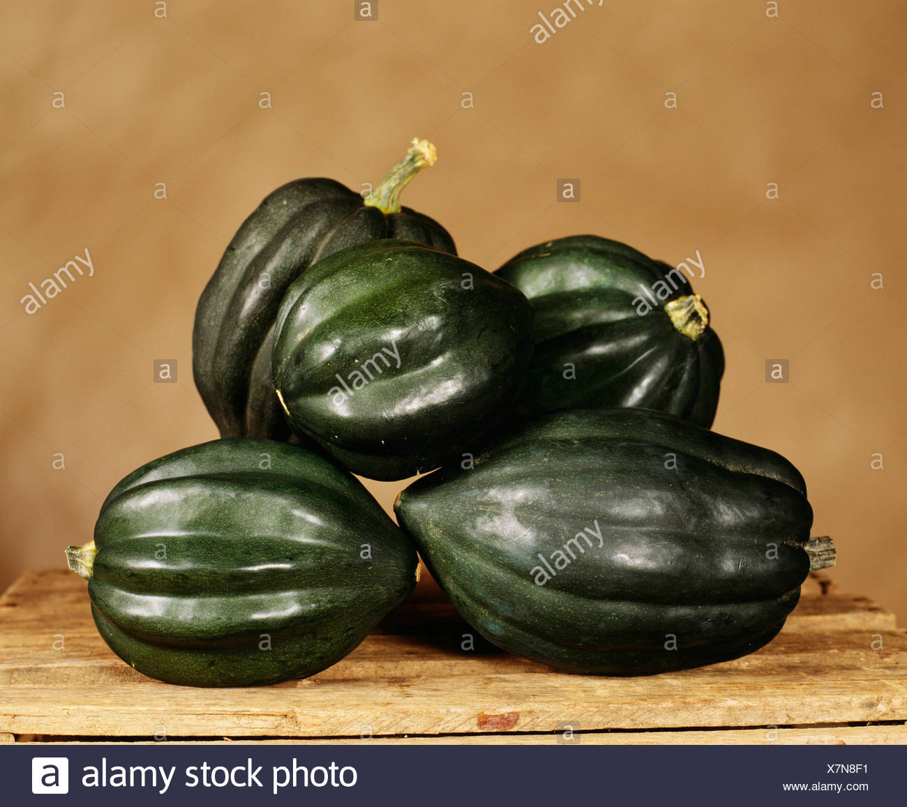 Cucurbita Sp High Resolution Stock Photography and Images - Alamy