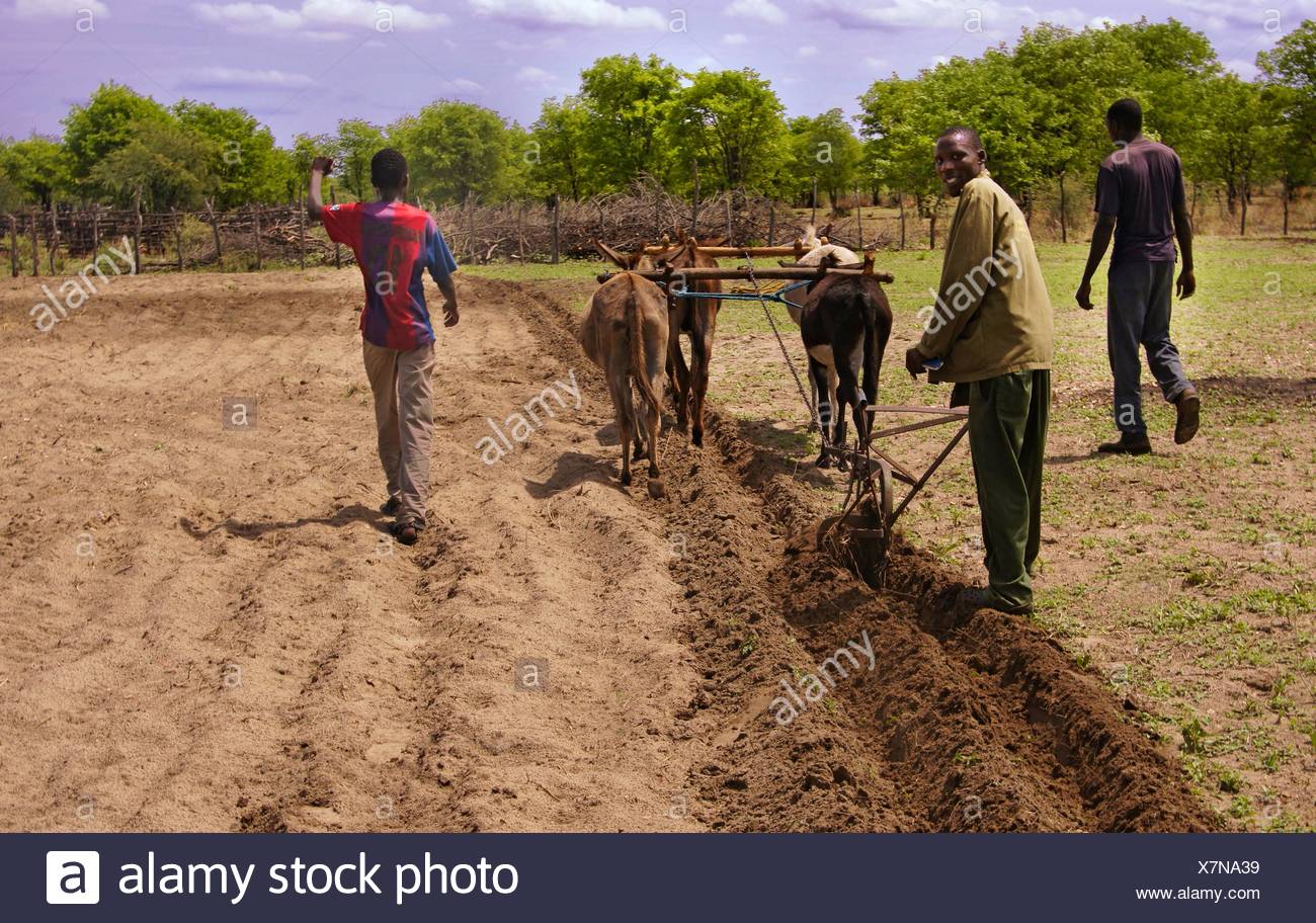 Ngamiland High Resolution Stock Photography and Images - Alamy