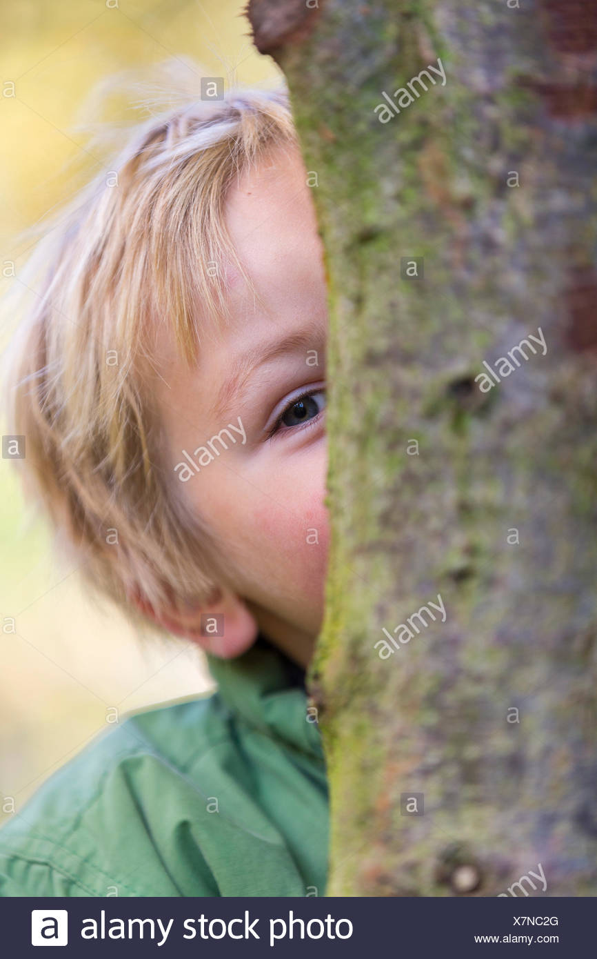Boy Hiding Behind Tree High Resolution Stock Photography and Images - Alamy