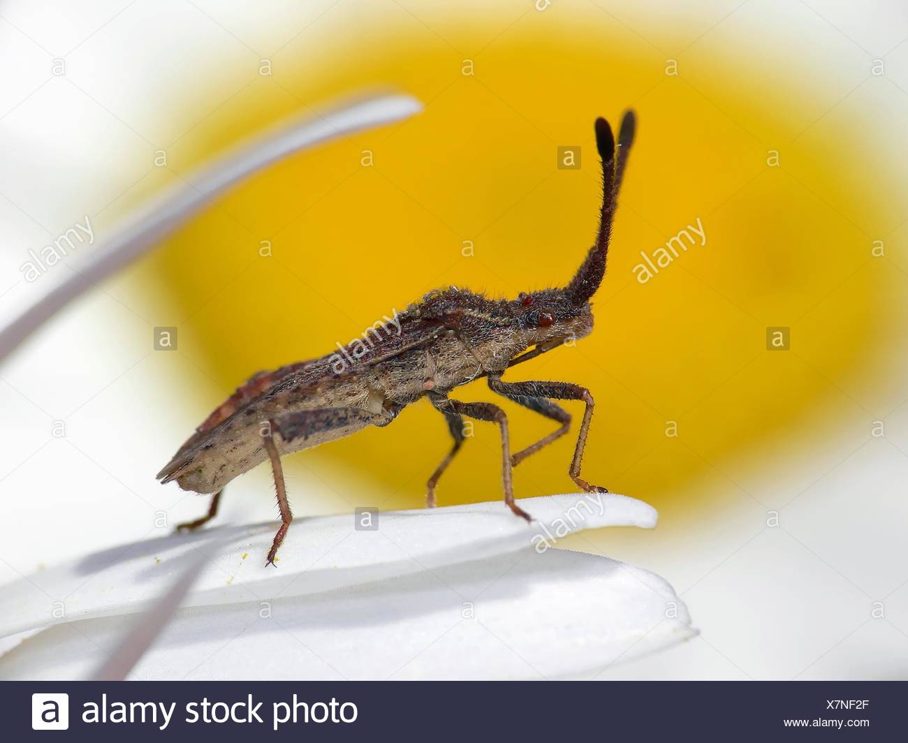 Spick And Span High Resolution Stock Photography and Images - Alamy