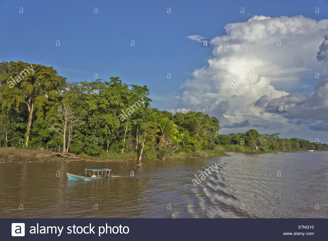 Amazon Basin Brazil High Resolution Stock Photography and Images - Alamy