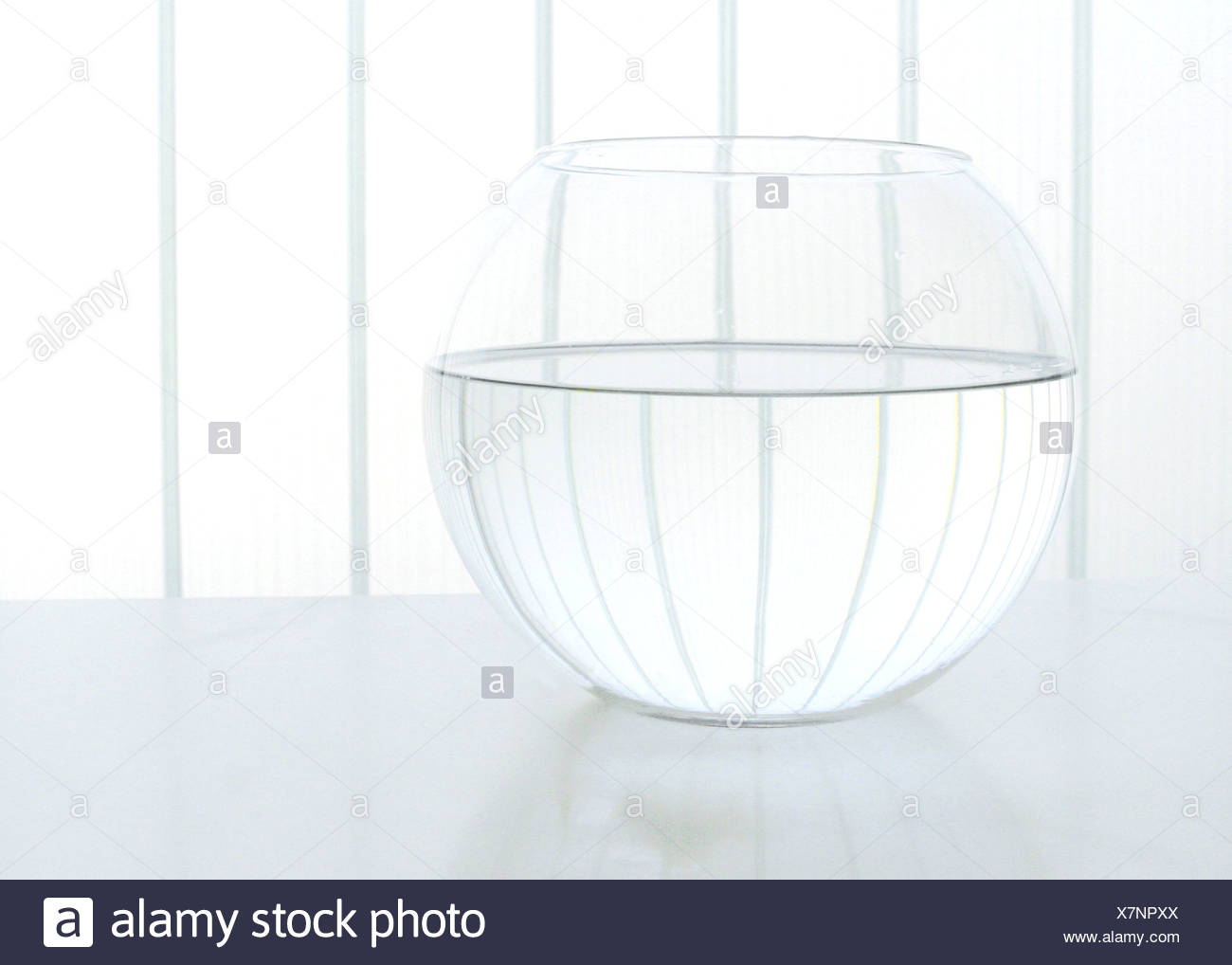Empty Fish Tank High Resolution Stock Photography and Images - Alamy