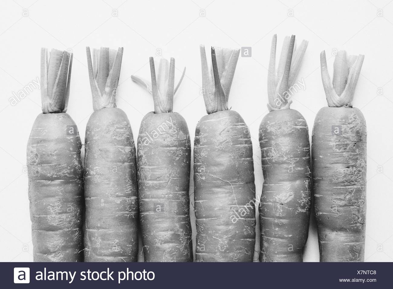 Carrot Black and White Stock Photos & Images - Alamy