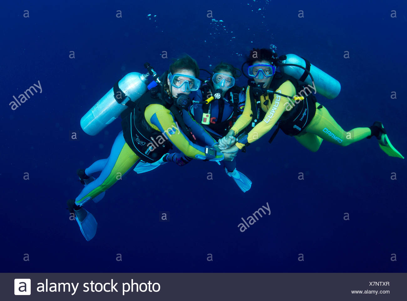 Palawan Diving Philippines Stock Photos & Palawan Diving Philippines ...