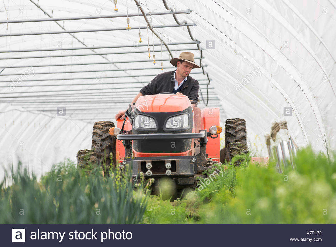 How To Drive Tractor High Resolution Stock Photography and Images - Alamy