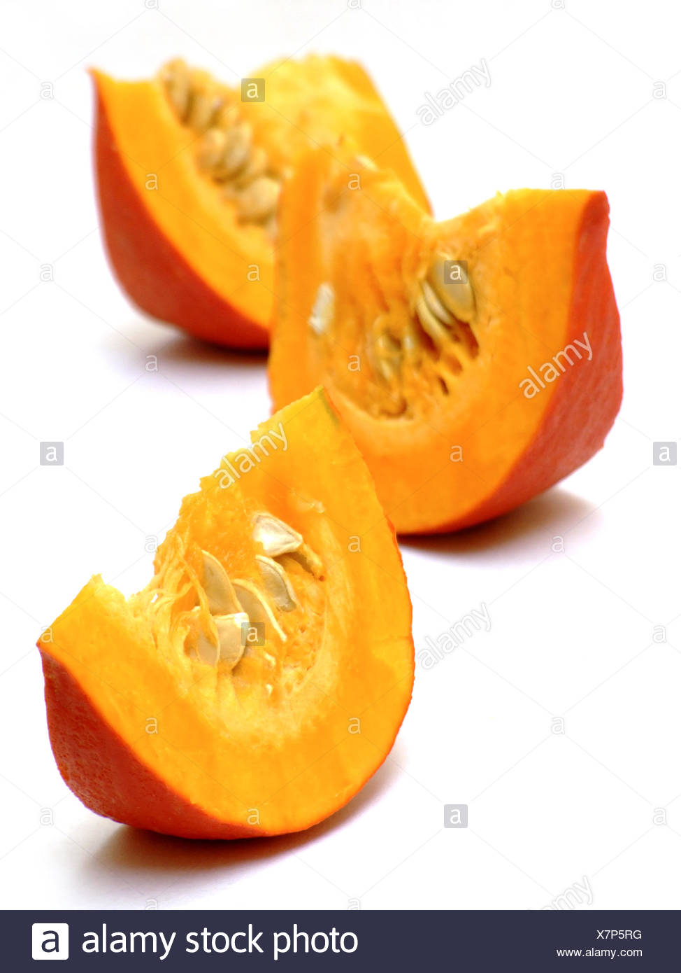 Cucurbita Stem Cross Section High Resolution Stock Photography and ...