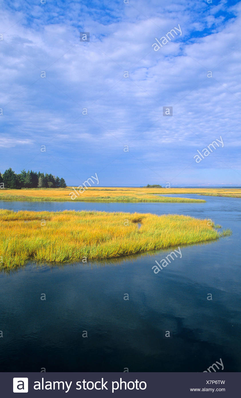Tantramar Marsh High Resolution Stock Photography and Images - Alamy