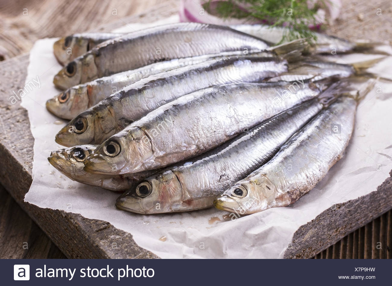 Pilchard Stock Photos & Pilchard Stock Images - Alamy
