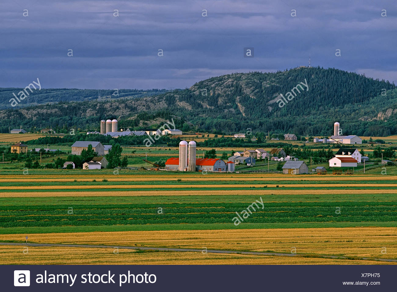 Kamouraska Quebec High Resolution Stock Photography and Images - Alamy