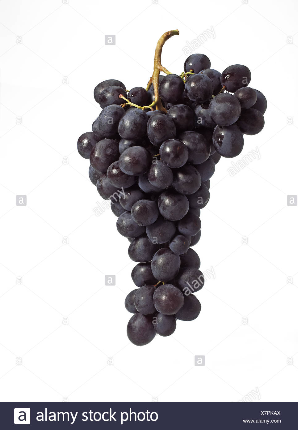 Black Muscat Grape High Resolution Stock Photography and Images - Alamy