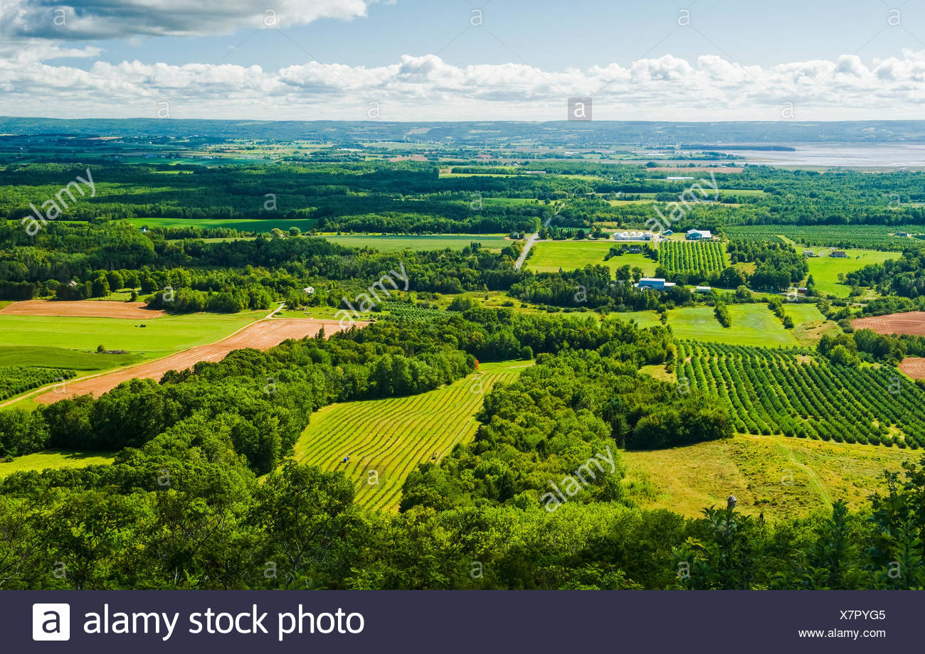Annapolis Valley High Resolution Stock Photography and Images - Alamy