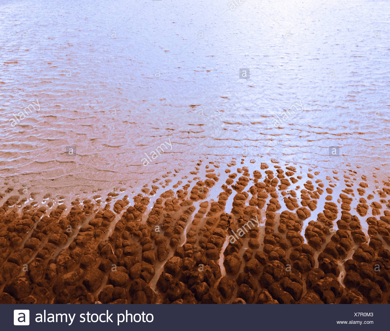 Soil Formation High Resolution Stock Photography and Images - Alamy