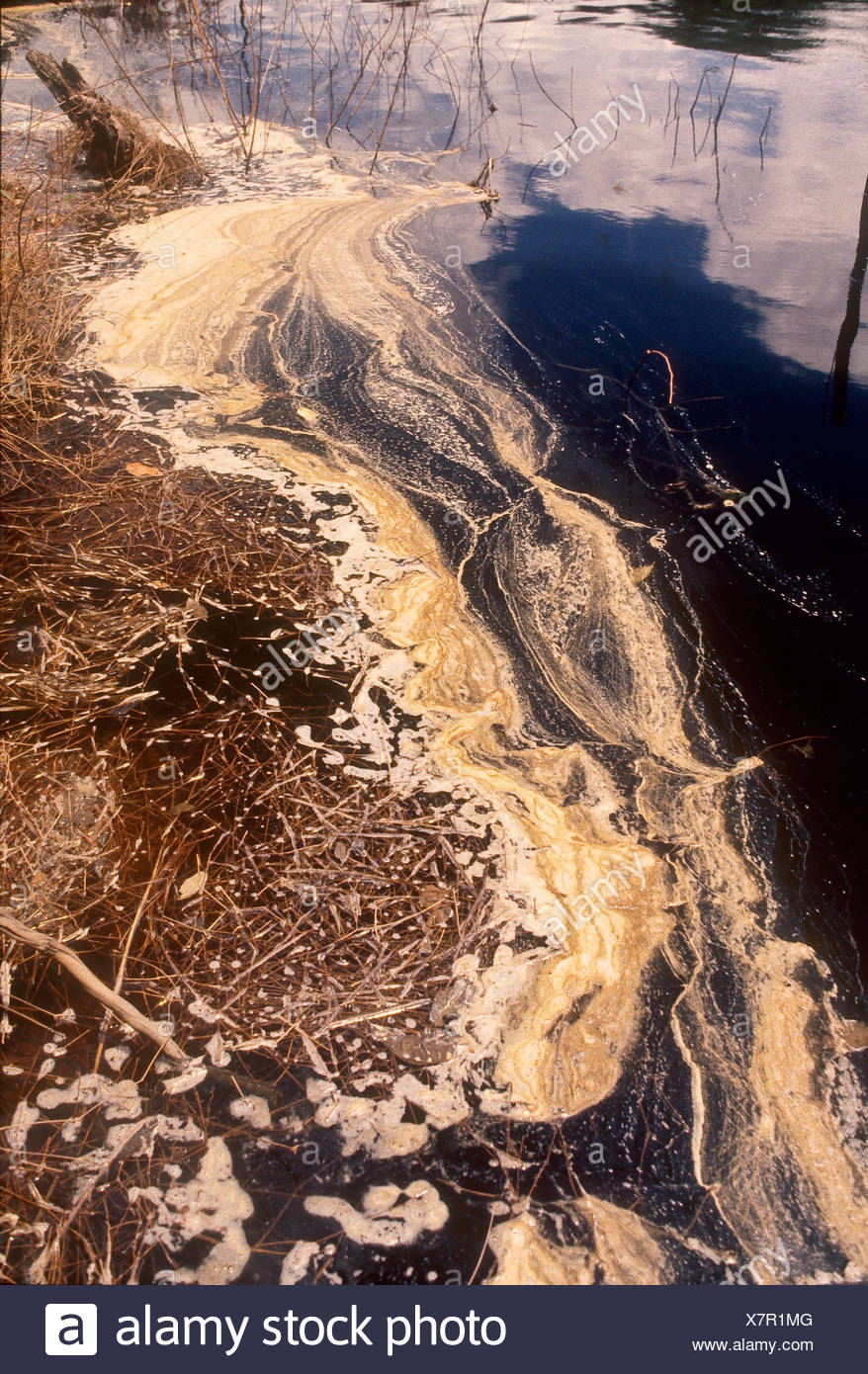 The Amazon River Pollution Stock Photos & The Amazon River Pollution ...