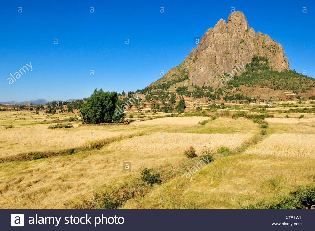 Adwa High Resolution Stock Photography and Images - Alamy