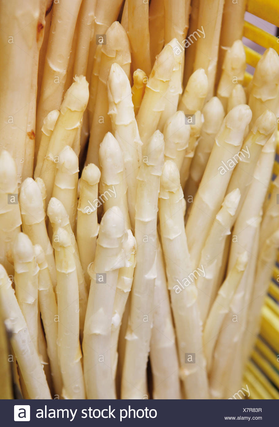 White Asparagus Germany Stock Photos & White Asparagus Germany Stock ...