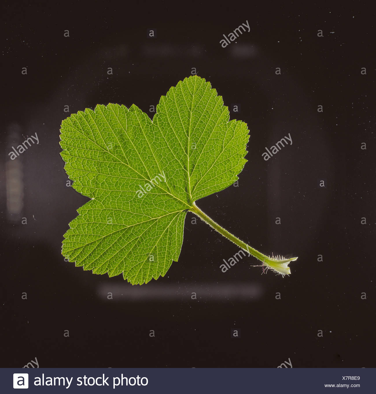 Grooves High Resolution Stock Photography and Images - Alamy