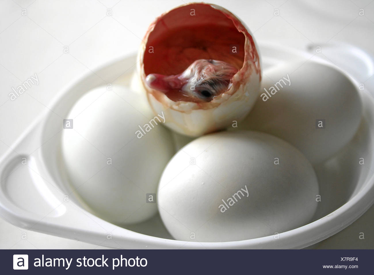 Balut Egg Stock Photos & Balut Egg Stock Images - Alamy