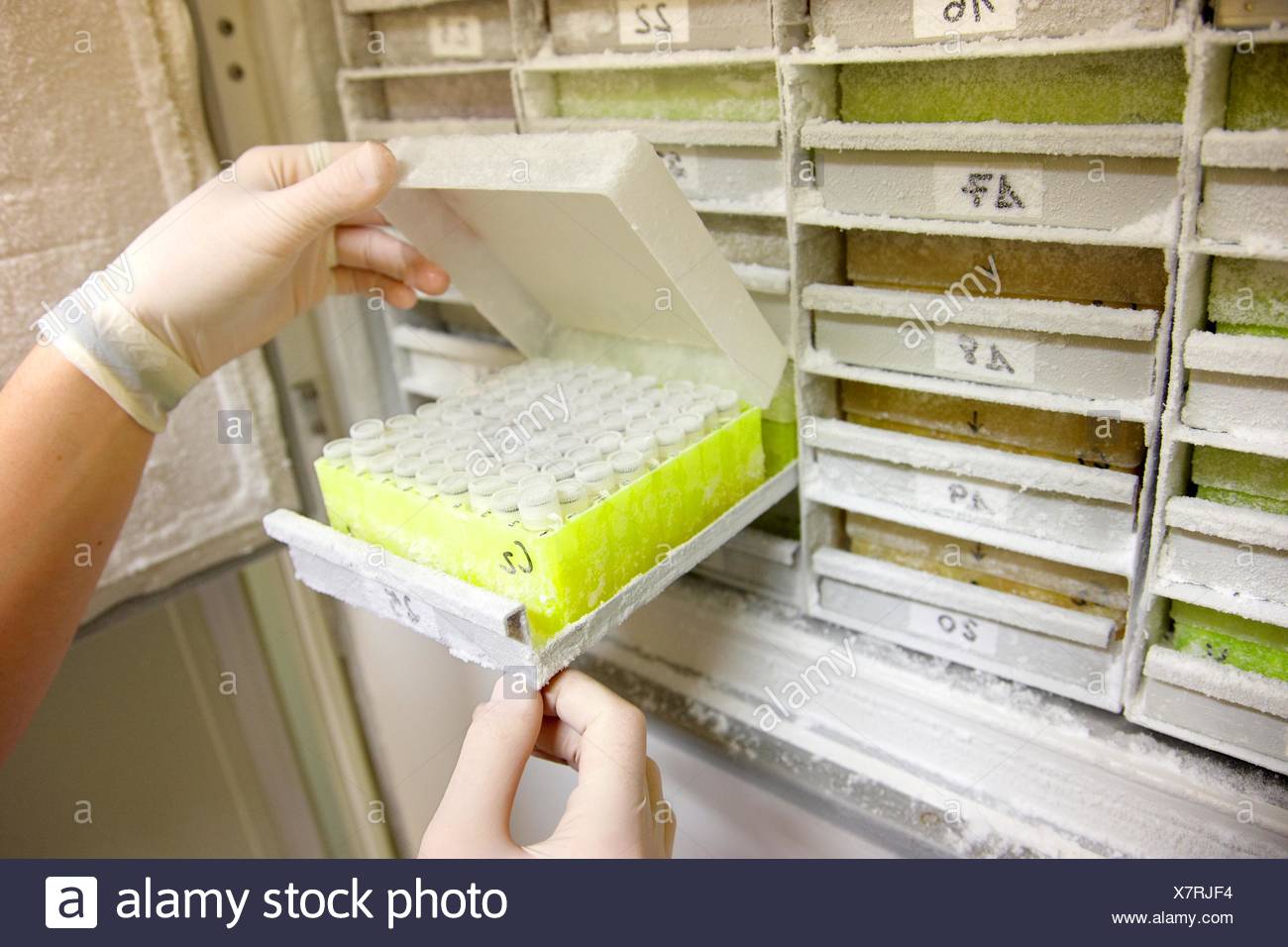 Dna Storage High Resolution Stock Photography and Images - Alamy