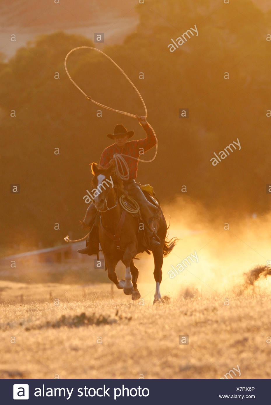 Cowboy Swinging A Rope High Resolution Stock Photography and Images - Alamy