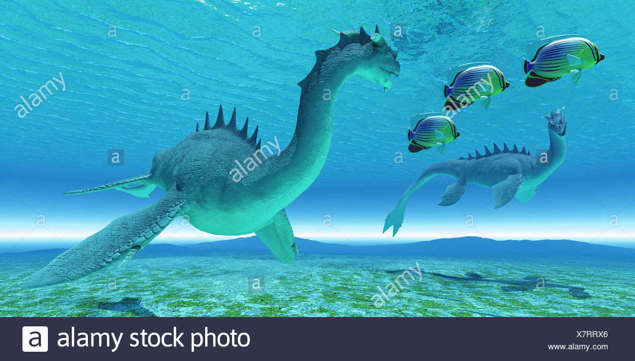 The Sea Dragon Mythology High Resolution Stock Photography and Images ...