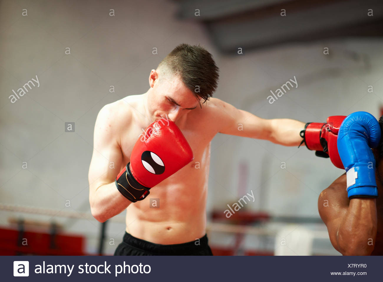 Boxers Sparring High Resolution Stock Photography and Images - Alamy