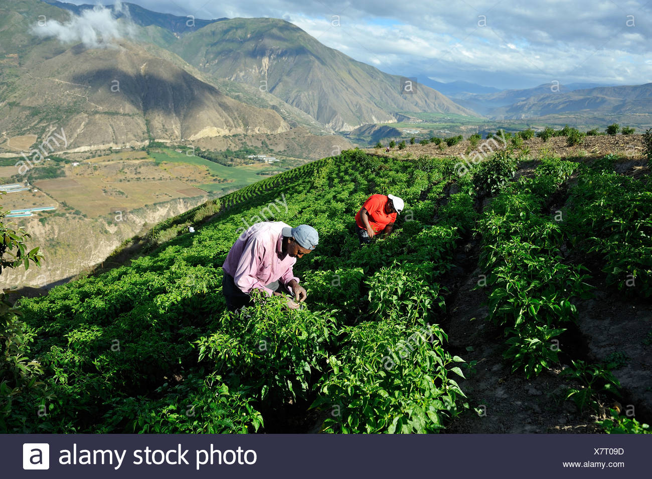 Our Farmers High Resolution Stock Photography and Images - Alamy